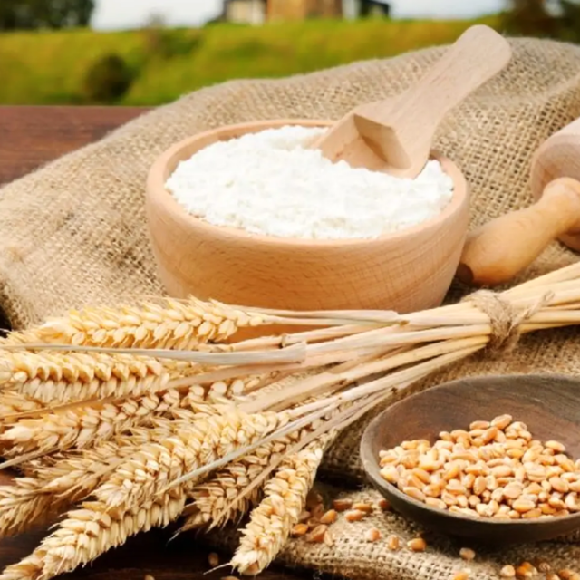 A Brief Guide About Wheat Production in Pakistan - Polson Food ...